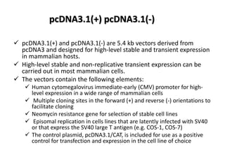 pc DNA3 | PPT
