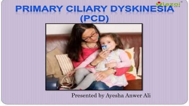 PCD Presentation.pptx | Ear, Nose and Throat Conditions | Diseases and ...