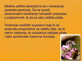 pcela.ppt za cetvrtak.pptffffffffffffffff | PPT