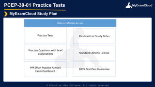 PCEP-30-01 Practice Tests | PPT
