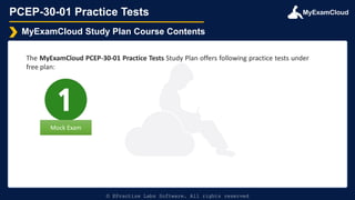 PCEP-30-01 Practice Tests | PPT