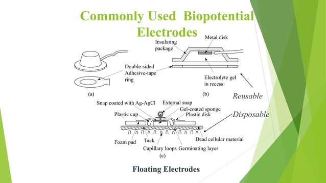 Phonocardiography(PCG) | PPTX