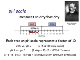 pchem Acidsbases waterbuffers ph measurements | PPT