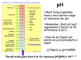 pchem Acidsbases waterbuffers ph measurements | PPT