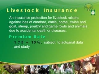 Pcic presentation rba pversion1[1] | PPT