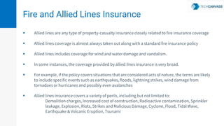 P&C insurance basics v2 | PPTX