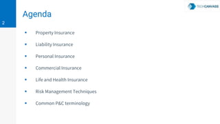P&C insurance basics v2 | PPTX