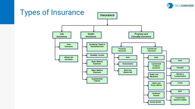 P&C insurance basics v2 | PPTX | Home Insurance | Insurance