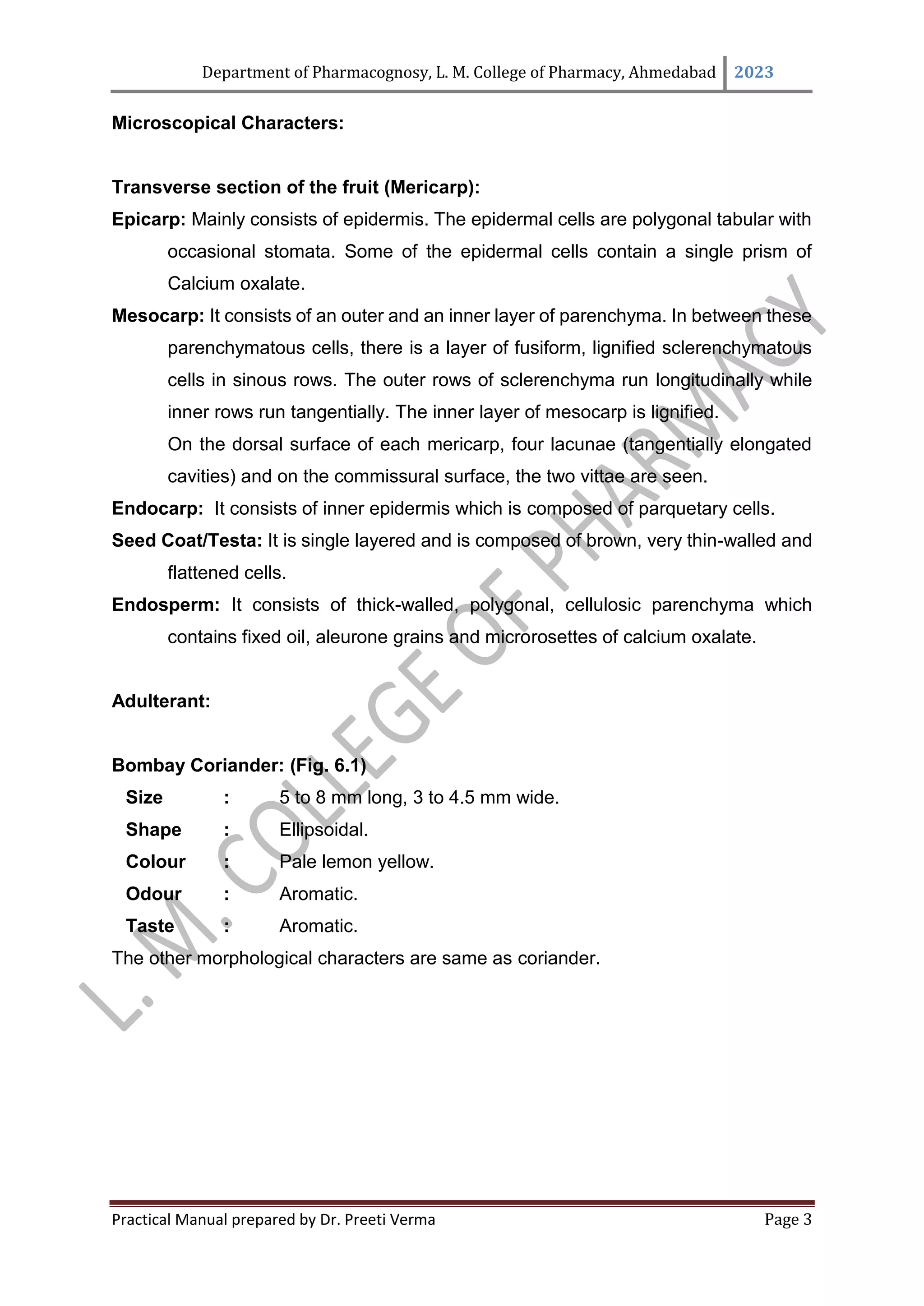 Coriander | PDF