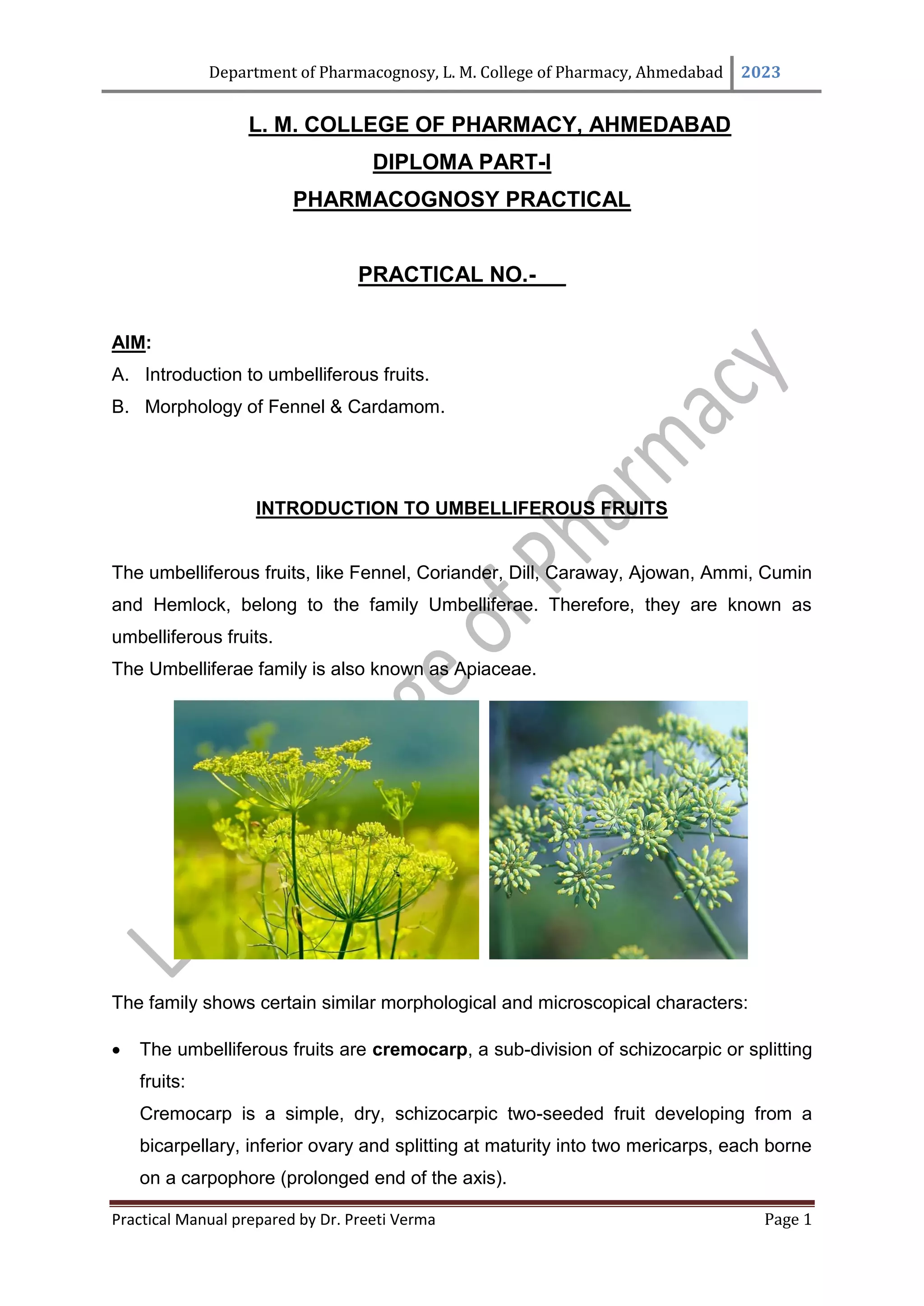 Introduction to umbelliferous fruits. Morphology of fennel & cardamom | PDF