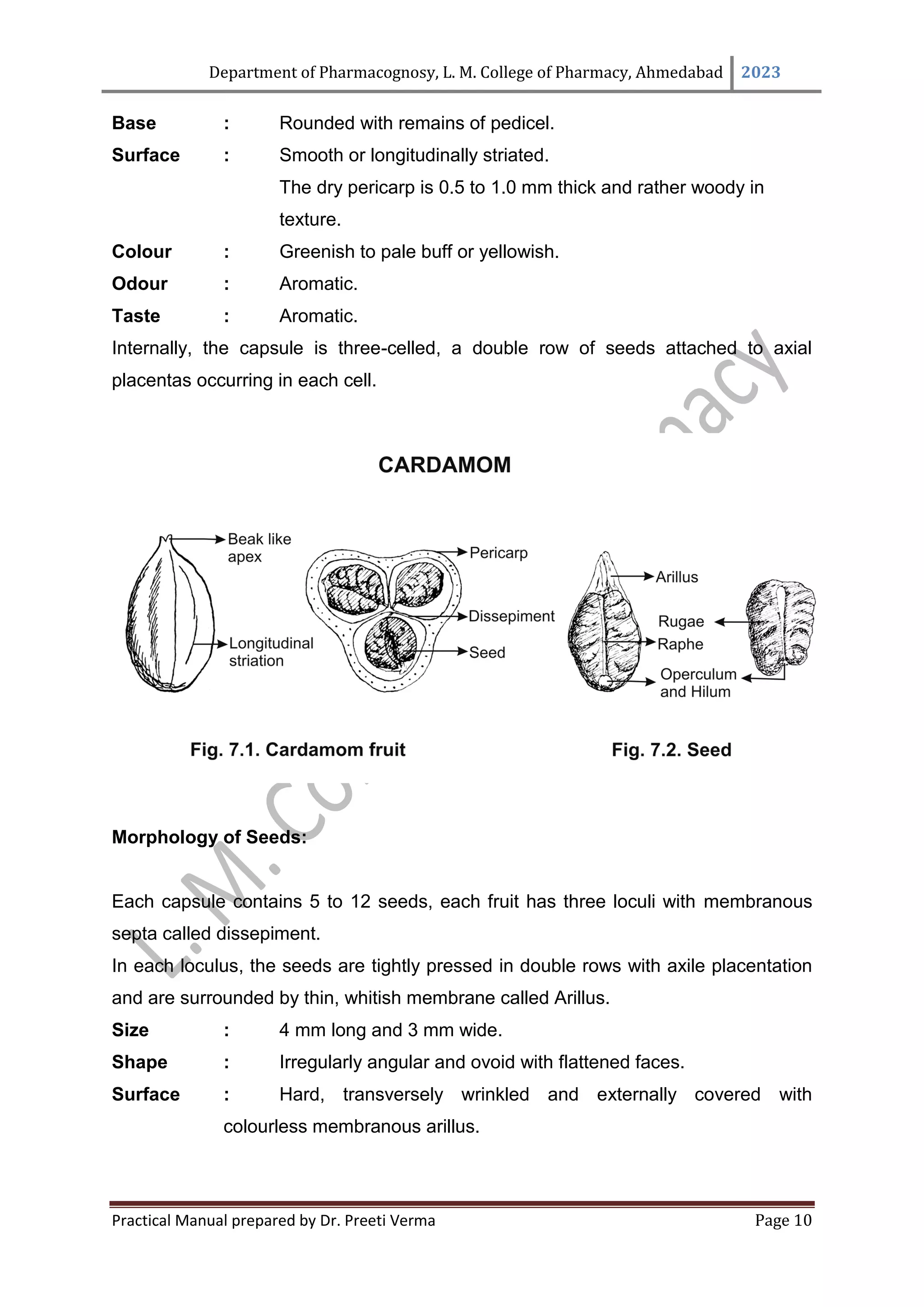 Introduction to umbelliferous fruits. Morphology of fennel & cardamom | PDF
