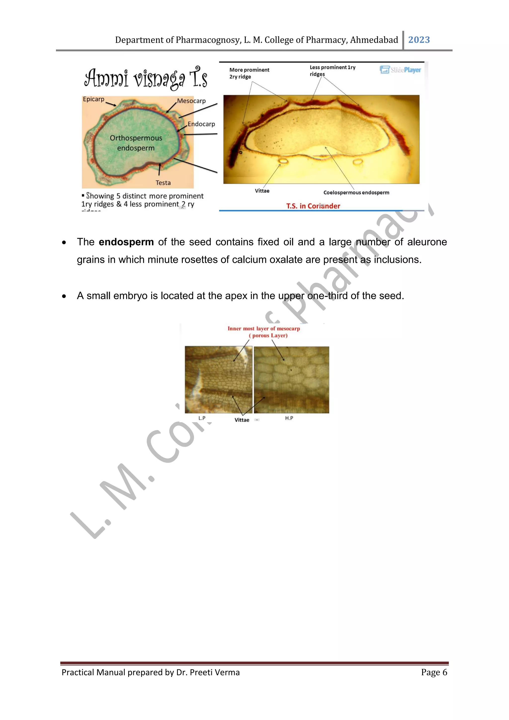 Introduction to umbelliferous fruits. Morphology of fennel & cardamom | PDF