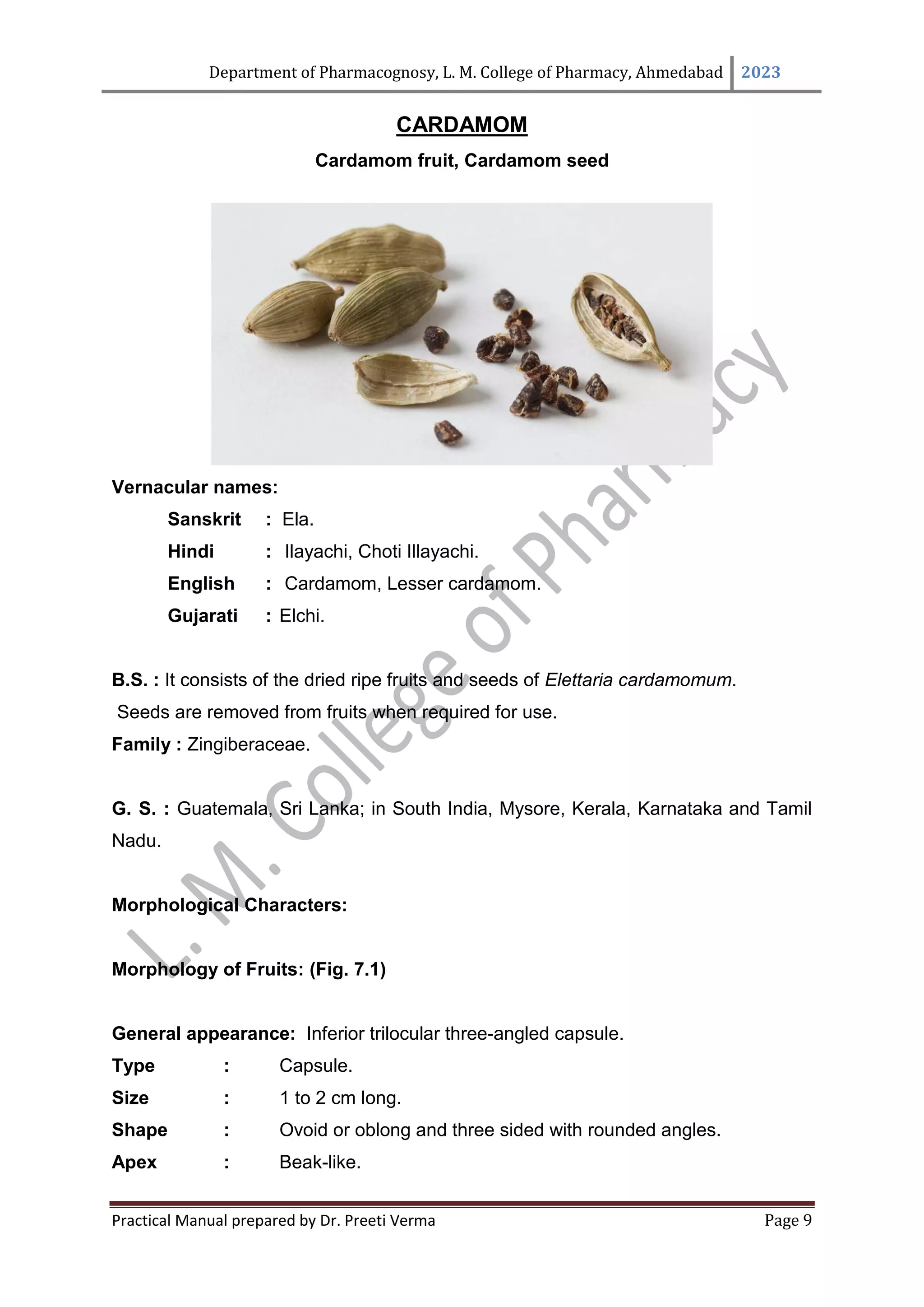 Introduction to umbelliferous fruits. Morphology of fennel & cardamom | PDF