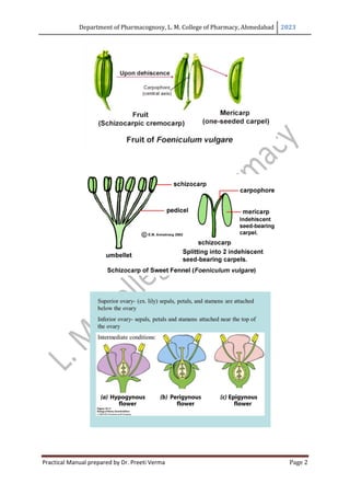 Introduction to umbelliferous fruits. Morphology of fennel & cardamom | PDF