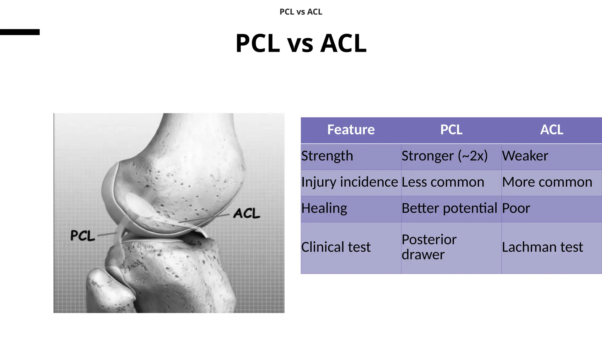 Posterior Cruciate Ligament- Surgical Anatomy | PPTX