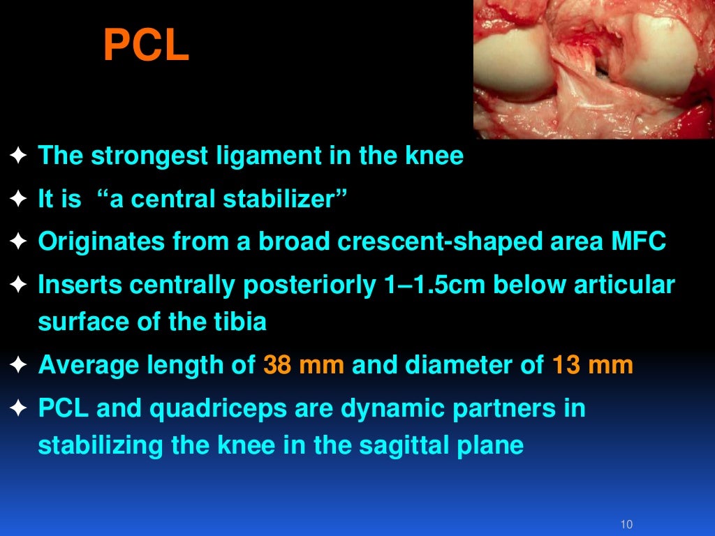 Updated PCL, PLC and Knee Dislocation for Postgraduate Orthopaedic Co…