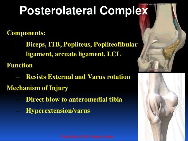 Updated pcl, plc and knee dislocation for postgraduate – posterior ...