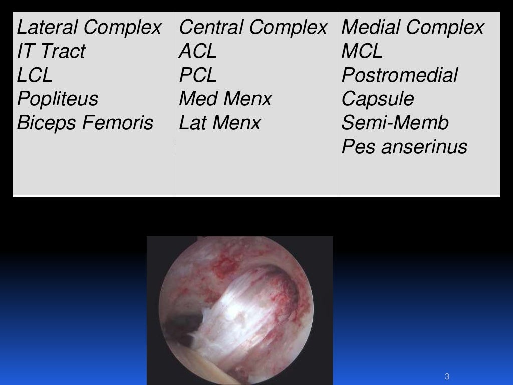 Updated PCL, PLC and Knee Dislocation for Postgraduate Orthopaedic Co…
