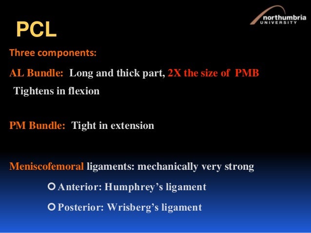 Updated PCL, PLC and Knee Dislocation for Postgraduate Orthopaedic Co…