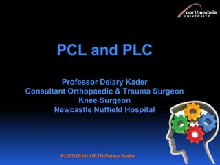 PCL, PLC, Knee Dislocation | PPTX