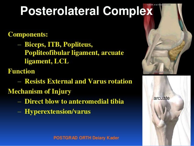 PCL, PLC, Knee Dislocation