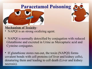 Paracetamol poisoning | PPT