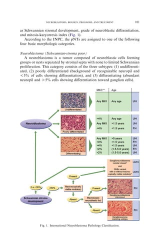Neuroblastoma: Biology, Prognosis, and Treatment. | PDF | Cancer ...