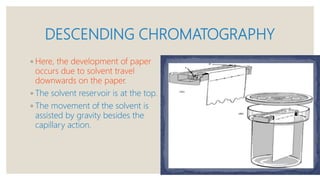 Paper Chromatography | PPTX