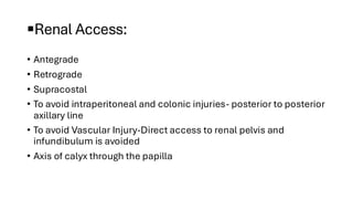 Percutaneous Nephro lithotomy - PCNL.pdf