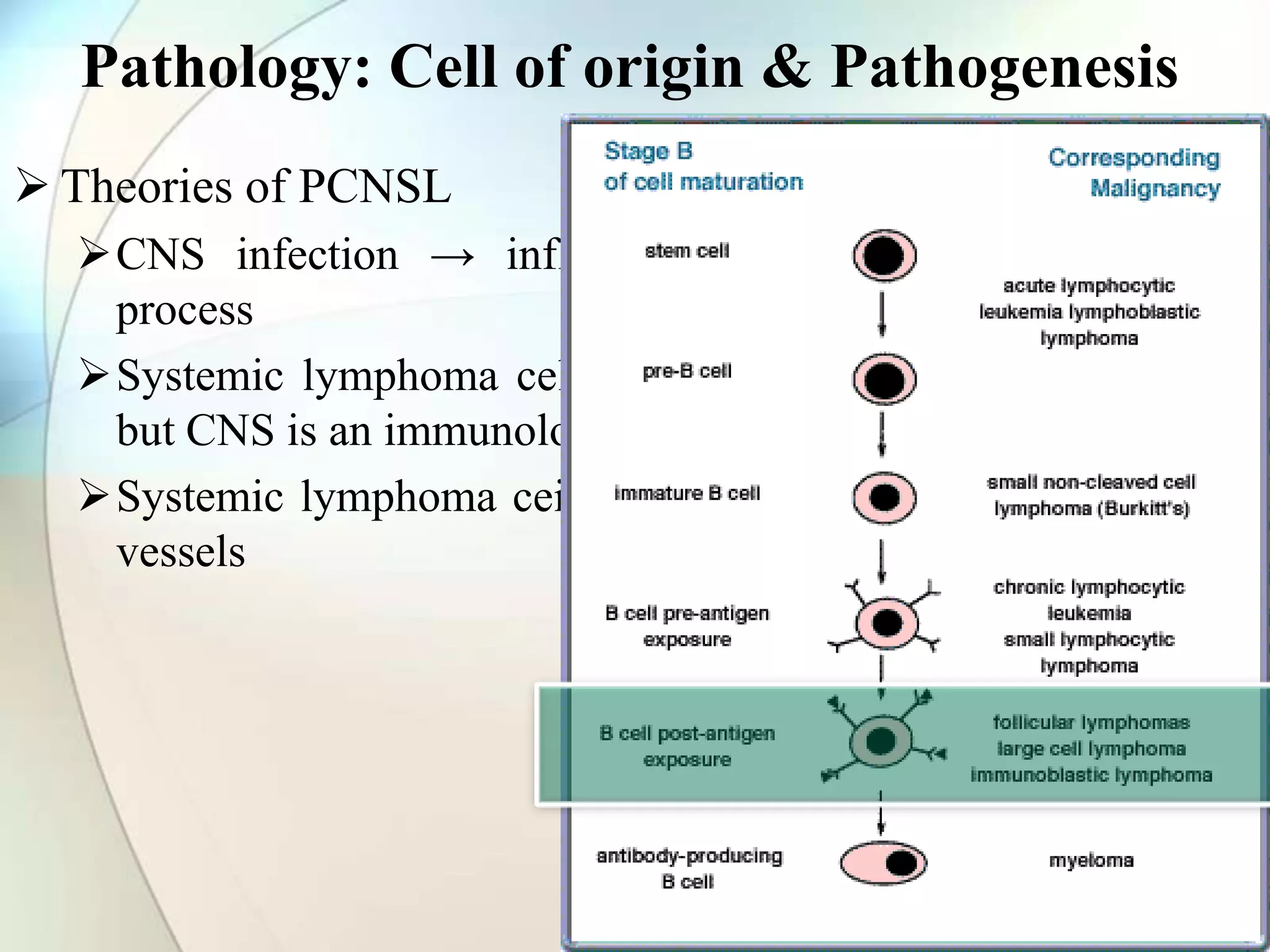 Primary CNS lymphoma | PPSX