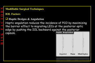 Pco - by dr. Heba mahmoud (M D) | PPT