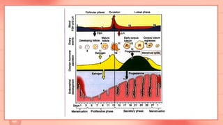PCOPOLYCYSTIC OVARY SYNDROME (PCO) Dr. Alborzi AmirReza Naghavi – Erfan ...