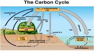 Hydrography : Tools & Techniques | PPTX