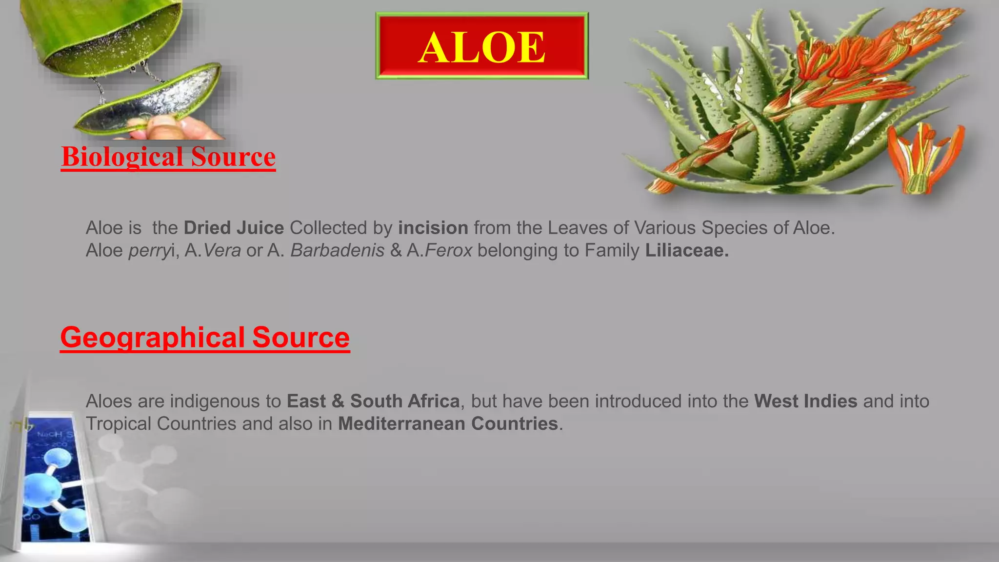 Introduction, Composition, Chemistry & Therapeutic Uses of ALOE | PPT