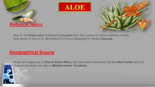 Introduction, Composition, Chemistry & Therapeutic Uses of ALOE | PPTX