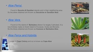 Introduction, Composition, Chemistry & Therapeutic Uses of ALOE | PPT