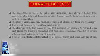 Introduction, Composition, Chemistry & Therapeutic Uses of ALOE | PPTX
