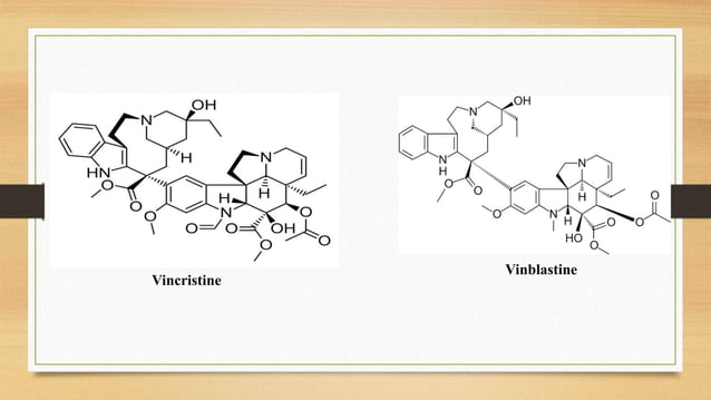 P cognosy of vinca | PPTX
