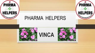Pharmacognosy of Vinca | PPTX