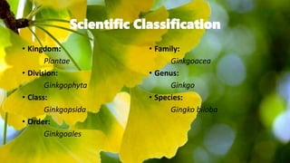 Pharmacognosy: Herbs and supplements | PPTX