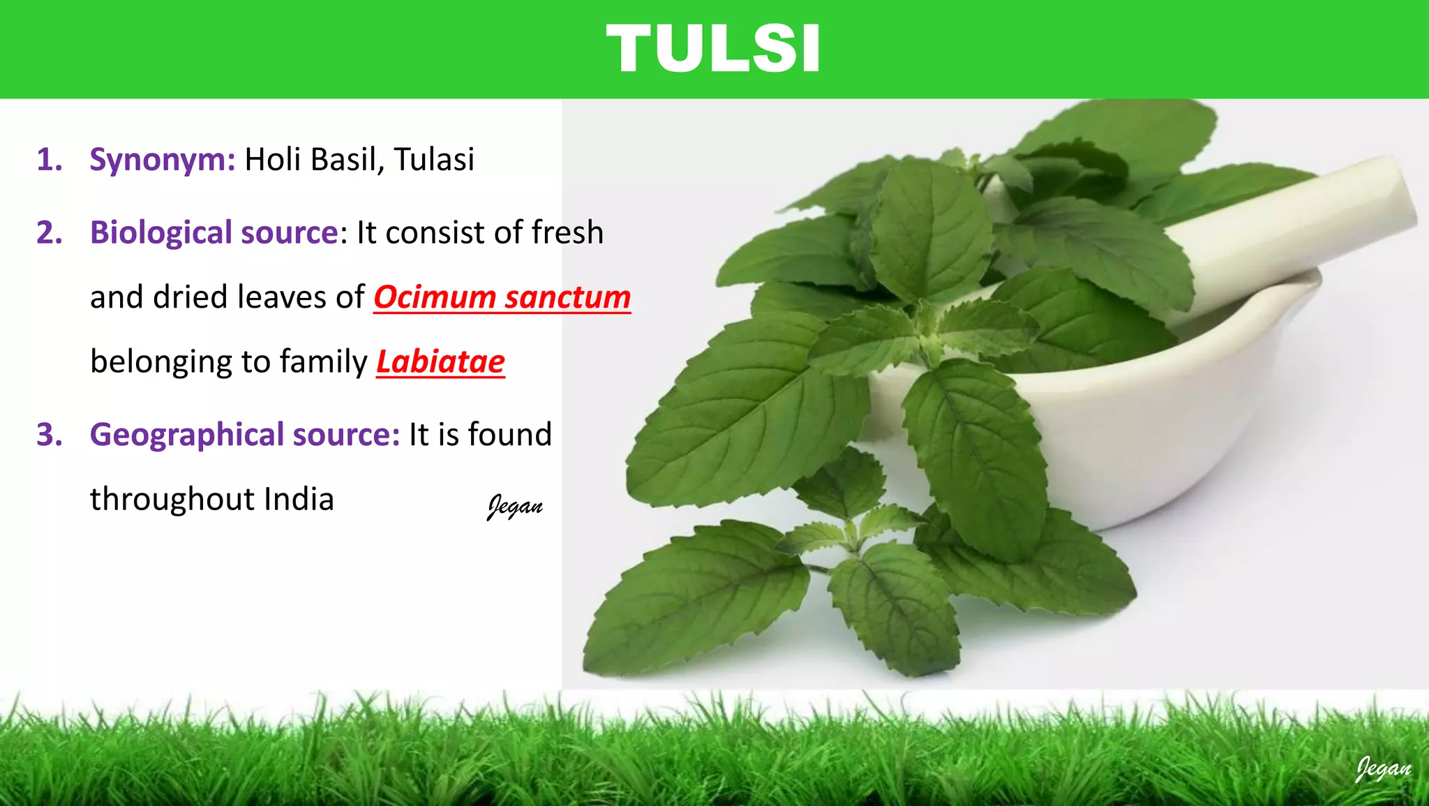 Pharmacognosy of traditional drugs in India | PDF