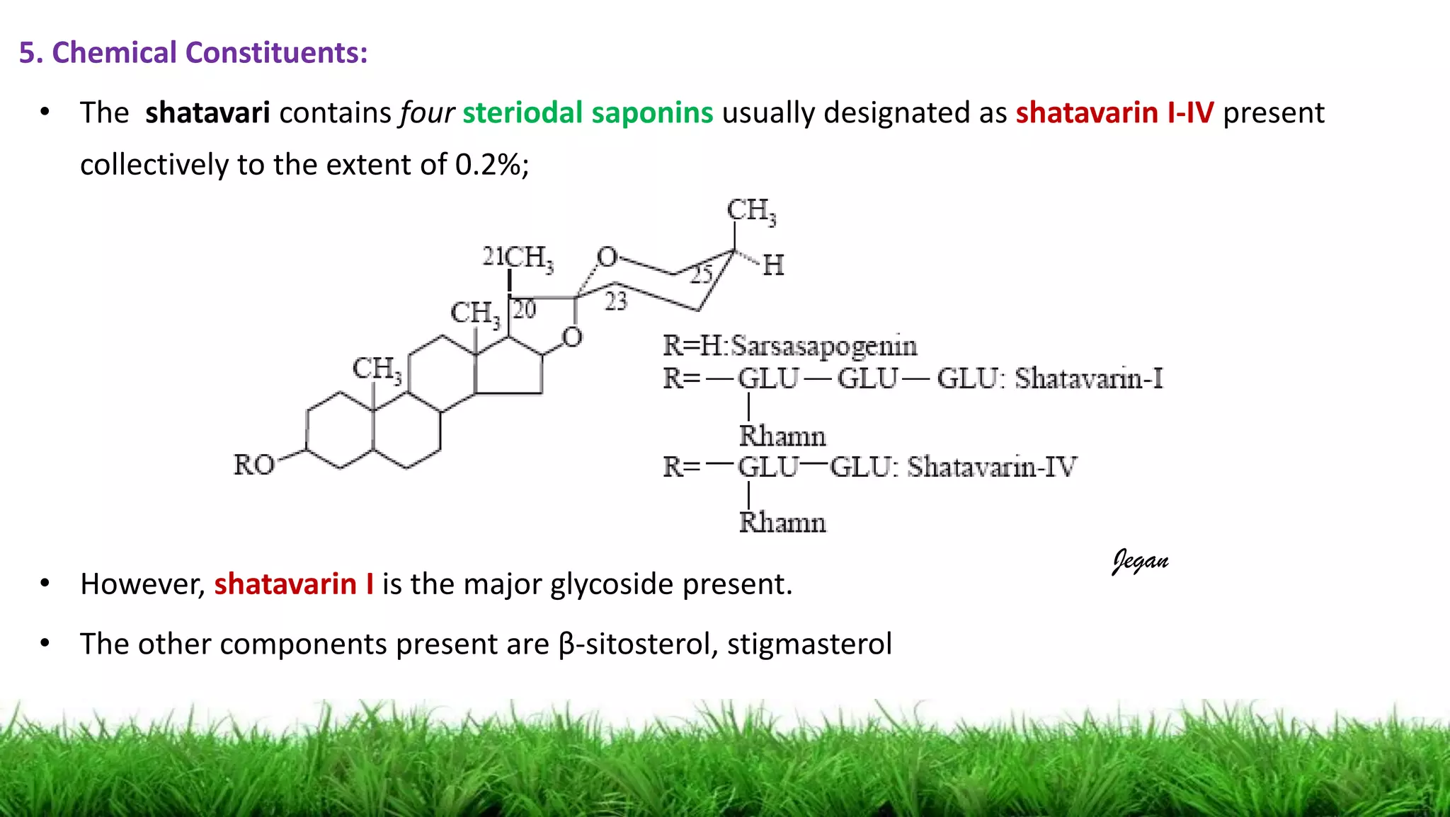 Pharmacognosy of traditional drugs in India | PDF