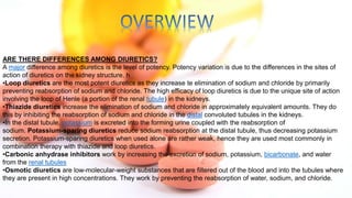 Diuretics & Antidiuretics (Pharmacology) | PPTX