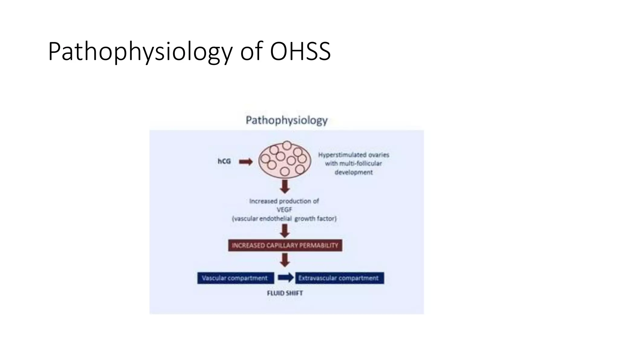 Polycystic ovarian disease revision notes (PCOD) | PDF
