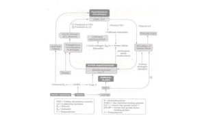 Polycystic ovarian disease revision notes (PCOD) | PDF