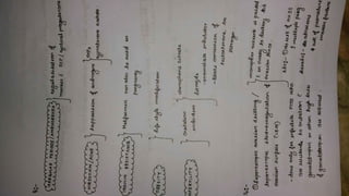 Polycystic ovarian disease revision notes (PCOD) | PDF