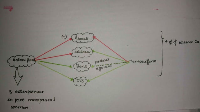 Polycystic ovarian disease revision notes (PCOD) | PDF | Hormonal ...