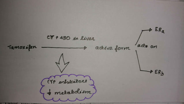 Polycystic ovarian disease revision notes (PCOD) | PDF | Hormonal ...