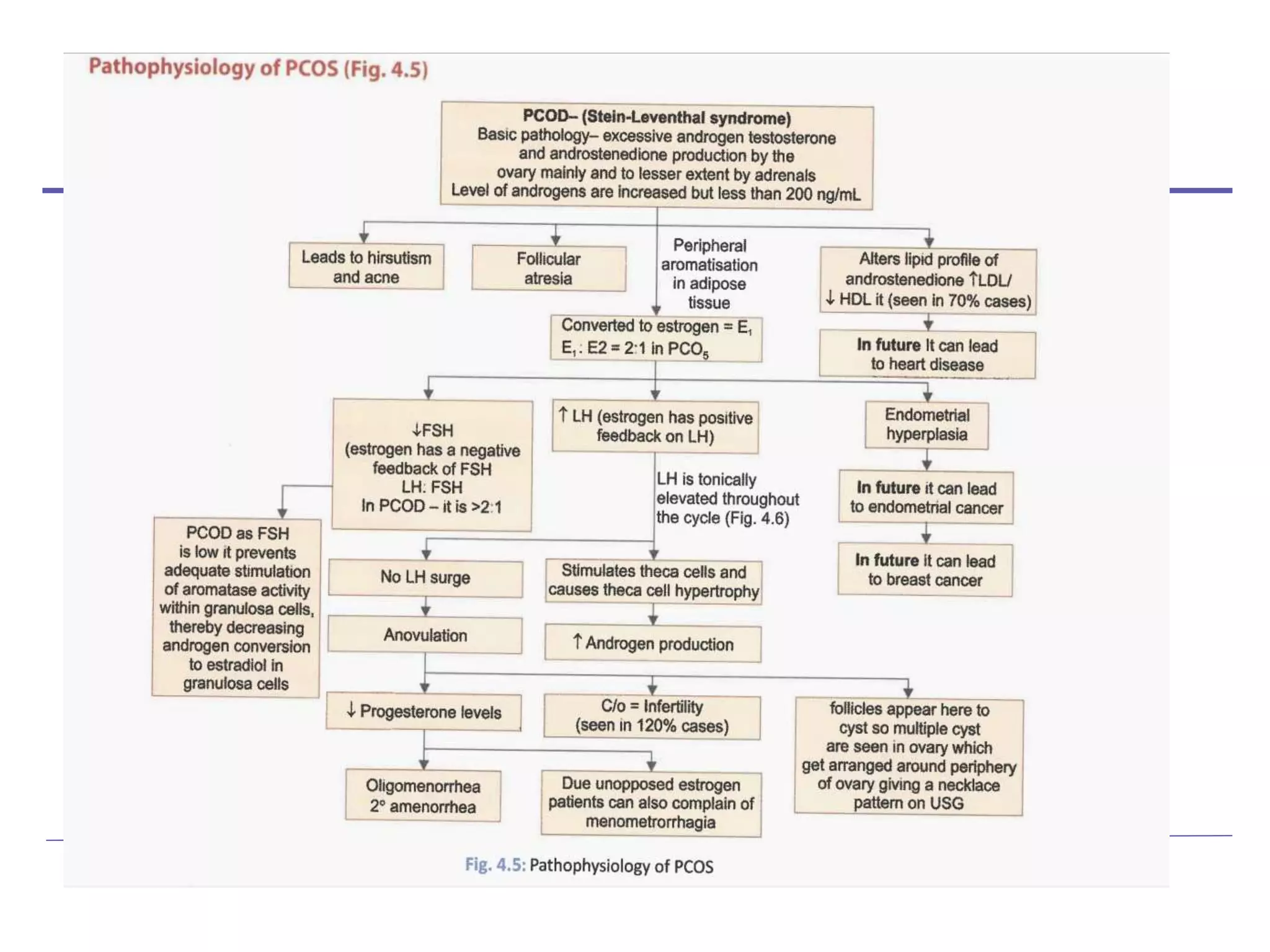 Polycystic Ovarian Syndrome/PCOS | PPT