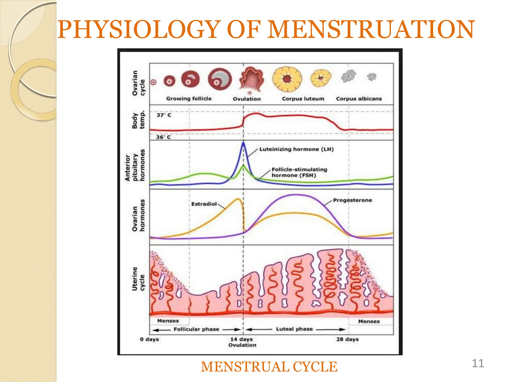 PCOS polycystic ovarian syndrome presentayiom | PDF